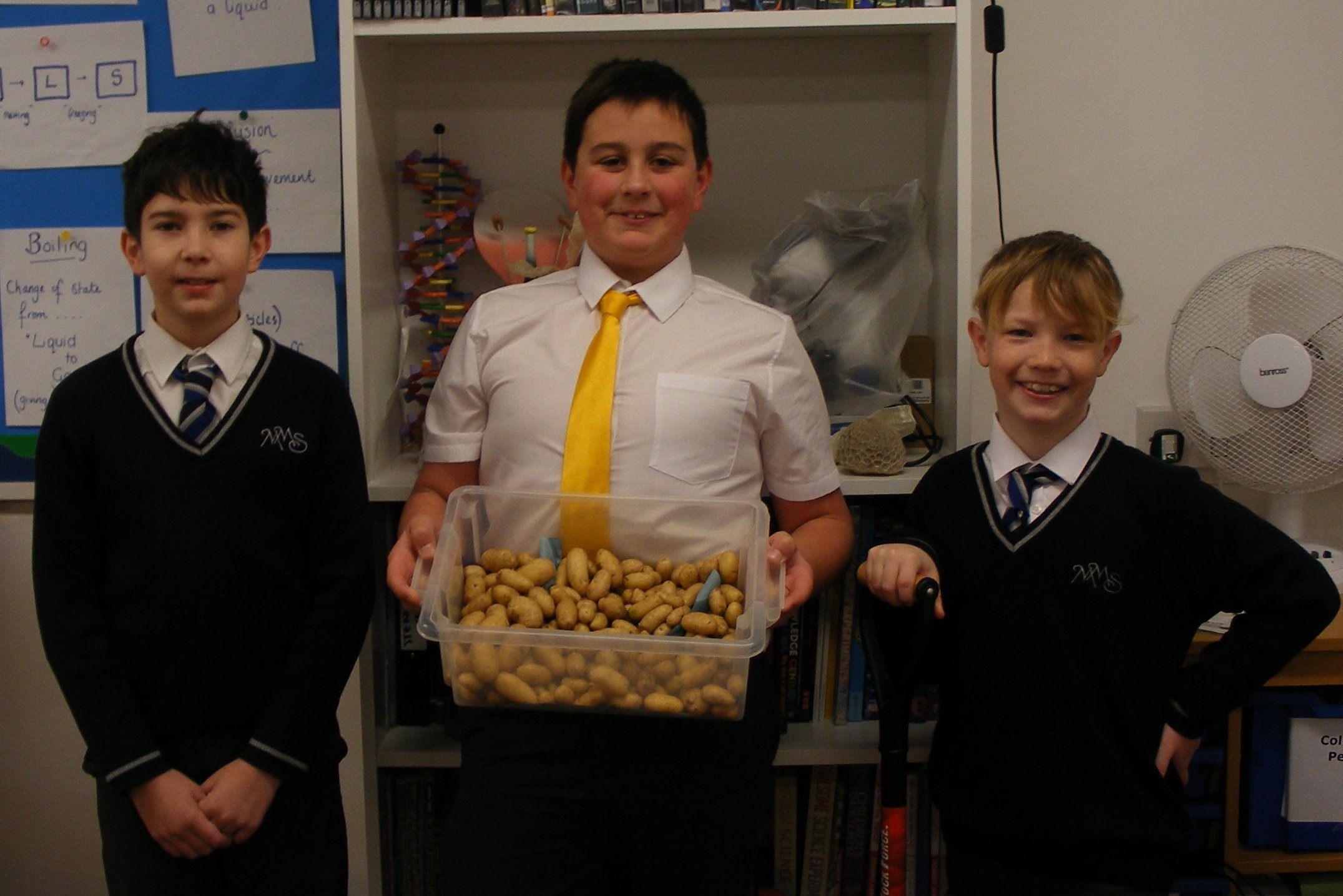 First potato harvest as Minehead Middle School sees fruits of community ...
